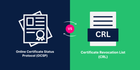 OCSP vs CRL Comparison: Overview, Works, and Best Practices