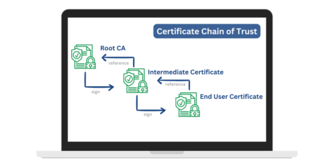 What is the Certificate Chain of Trust?