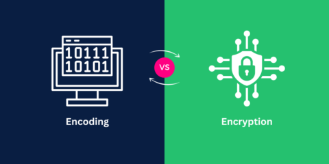 Encoding vs Encryption: What’s the Difference Between Them?