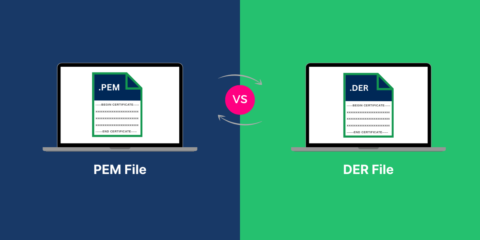.PEM vs. .DER Files: What is the Difference Between Them?